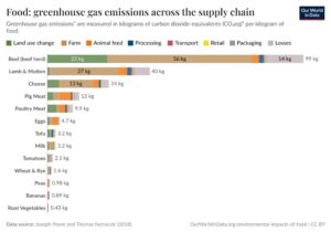 The Environmental Impact Of Meat: What You Need To Know About A Surging ...
